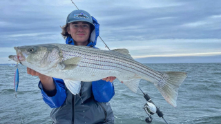 Fall Migration of Striped Bass - TackleDirect