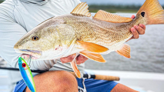 What Lures Are Best for Redfish? - TackleDirect