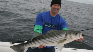 Striper Jigging - TackleDirect