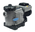 Blue Torrent Maxi-Pump Dual Speed Aboveground Pool Pump