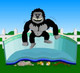 Gorilla Floor Padding on Pool and Spa Supply Store