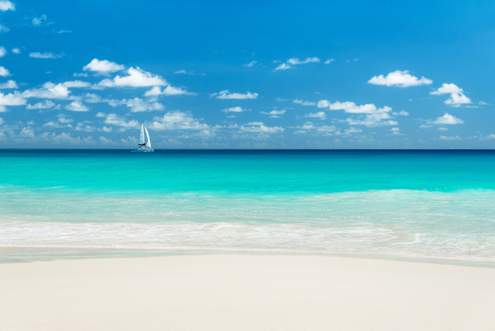 Oceans Around the World - Indian Ocean - EcoStinger