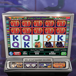 IGT Slots Bombay - WildTangent Games