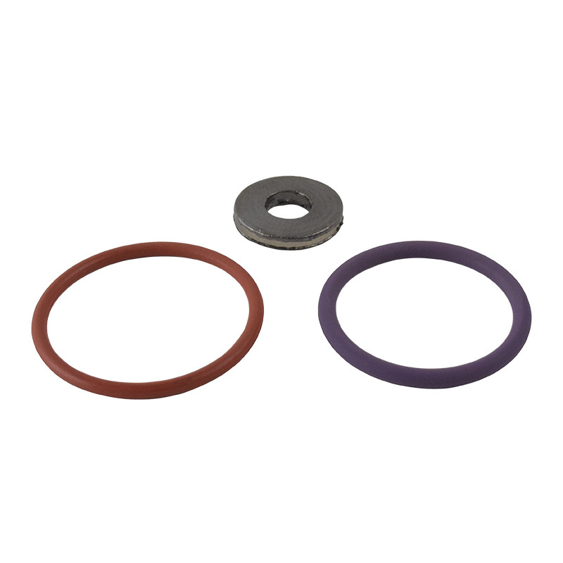 Delphi | Seal Kit - F2P Series Injectors | HTK135