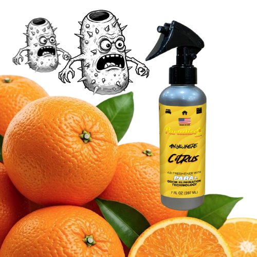 Citrus Anywhere Spray - Green Air Scents LLC - dba Green Air Shop