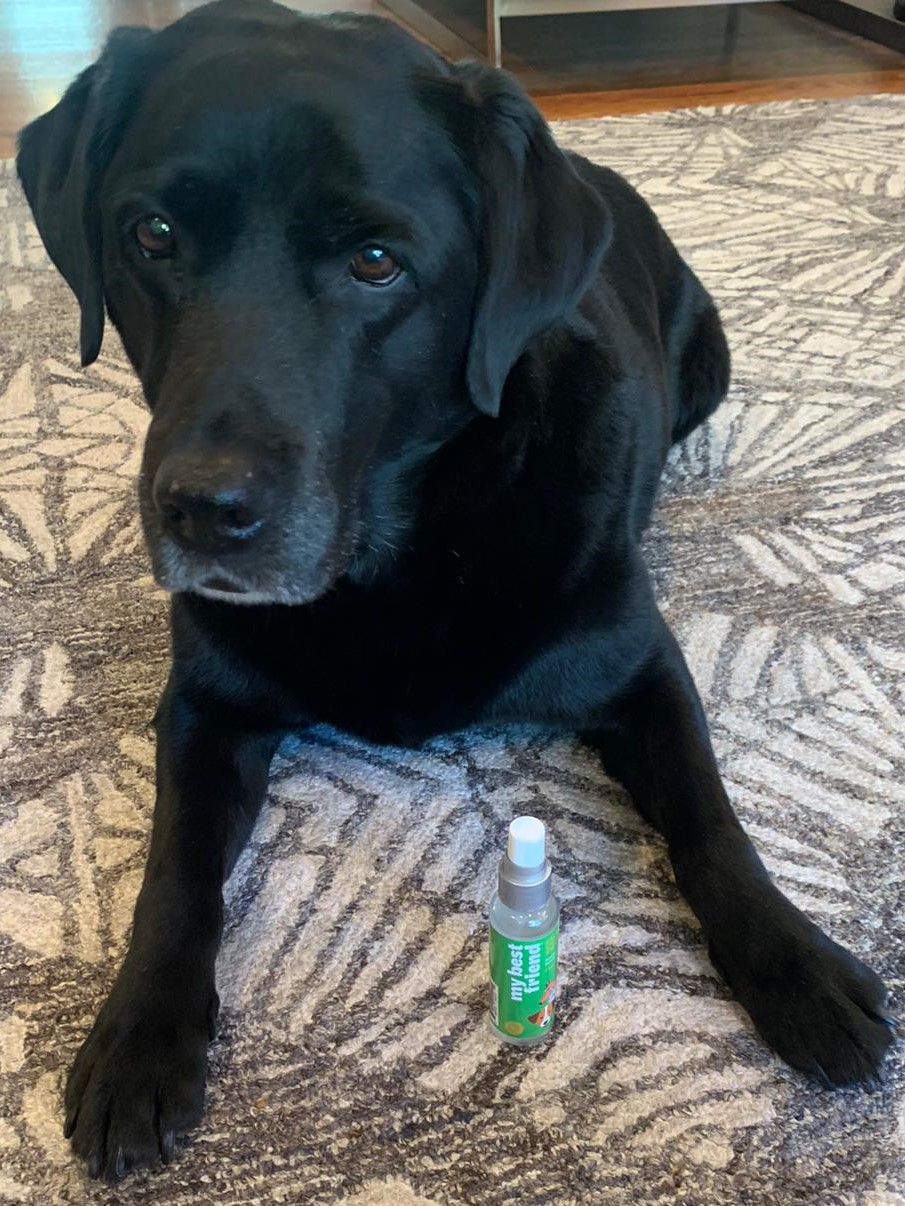 Calming Calendula Animal Spray is P-AWESOME! - My Girls Skin Care