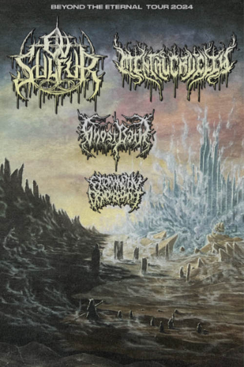 Skeletix