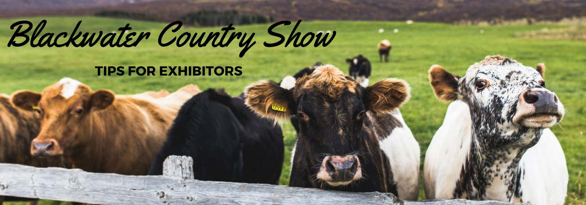 Tips for a Great Day Exhibiting at the Blackwater Country Show - TFH ...