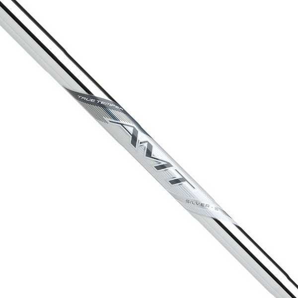 True Temper AMT TOUR White Taper Iron Shafts