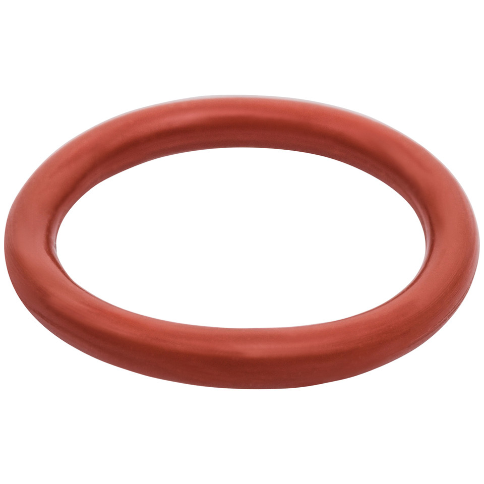 Walter 30B027 Flange Retaining Ring, 10 pack