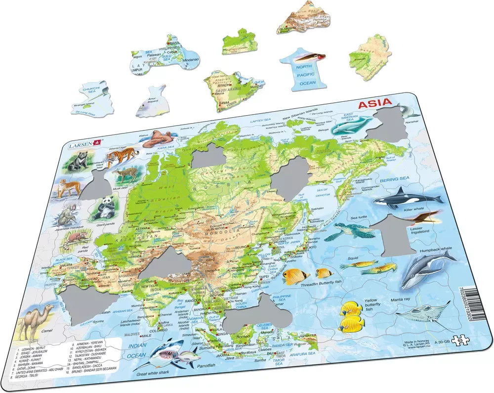 Asia Map with Animals Children's Educational 63 Piece Jigsaw Puzzle