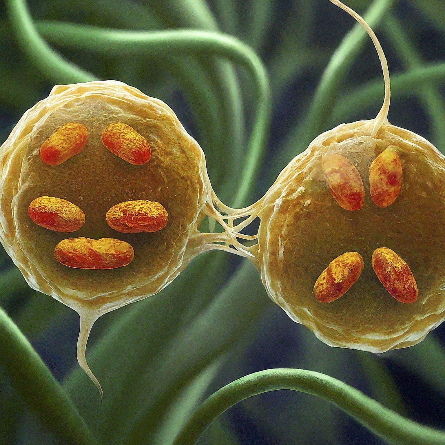 Uncovering the Tiny Wonders: An All-Inclusive Investigation of Cellular ...