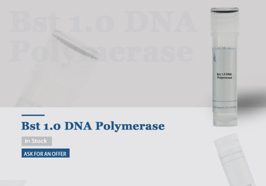 Bst 1.0 DNA Polymerase