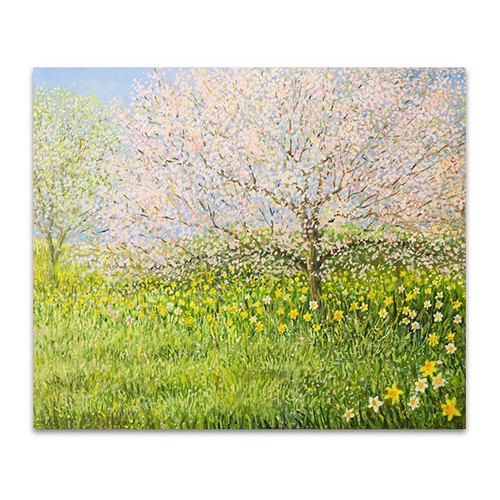Springtime Landscape Art Print In Framed Decors Living Room
