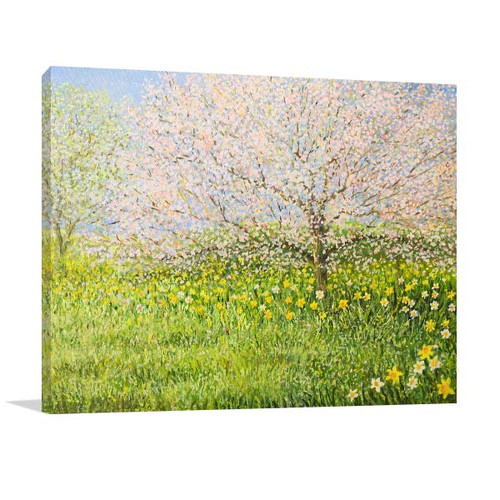 Springtime Landscape Art Print In Framed Decors Living Room