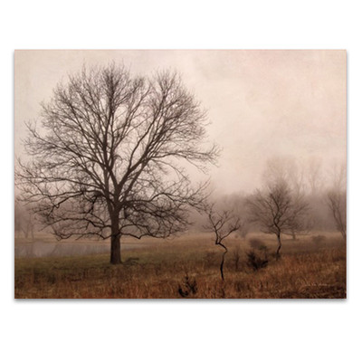 Morning Calm IV Art Print | Nature Landscape Wall Art on Canvas