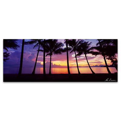 Sunrise Palm Cove Wall Print | Seascape Wall Art Print