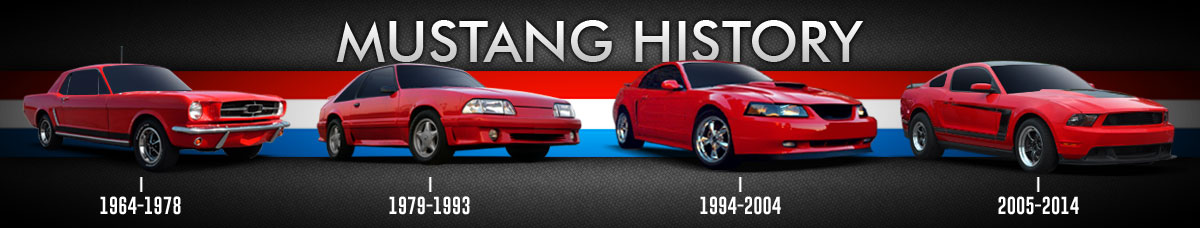 50 Years of Mustangs - Anderson Ford Motorsport