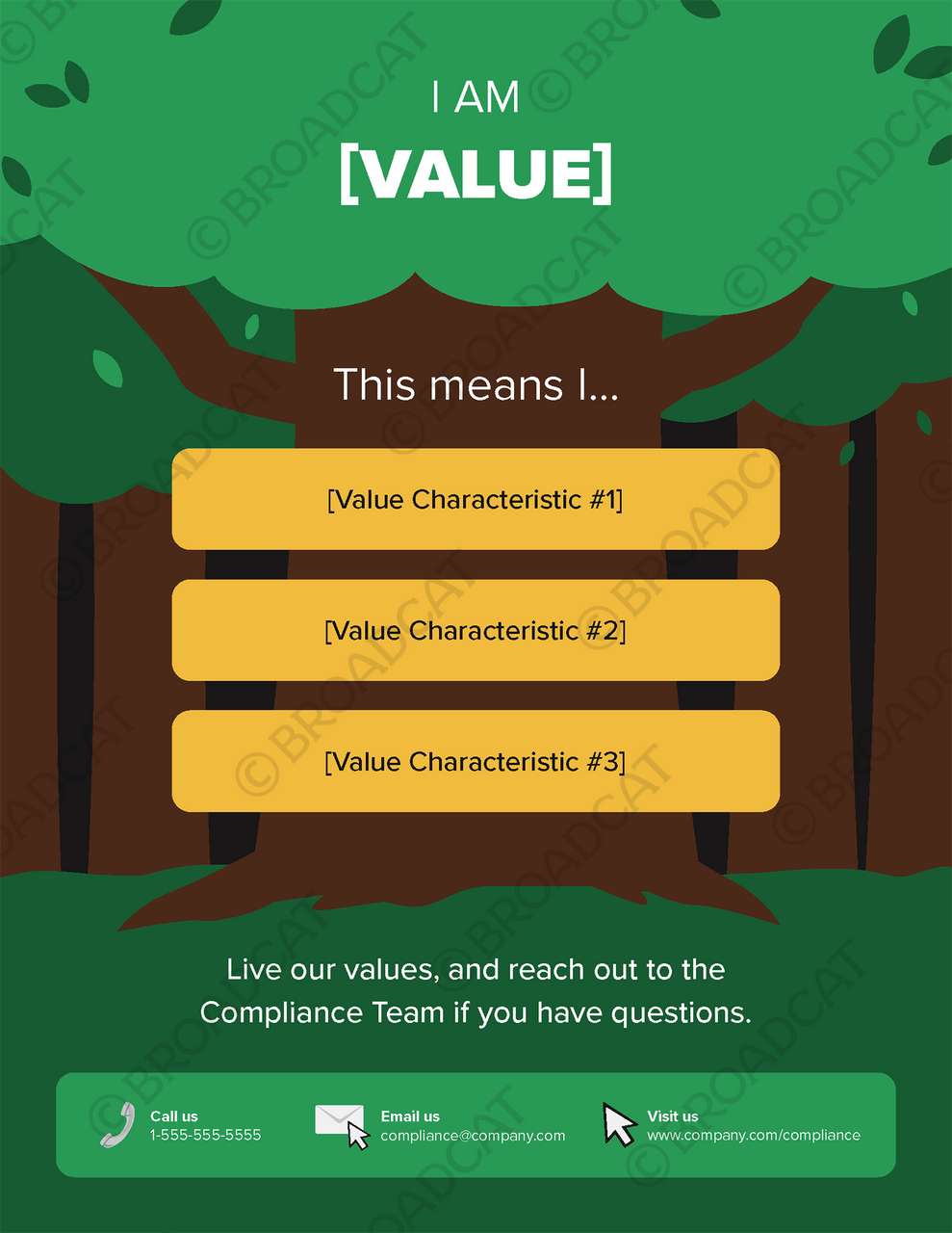 Awareness Campaign: Our Values - Broadcat