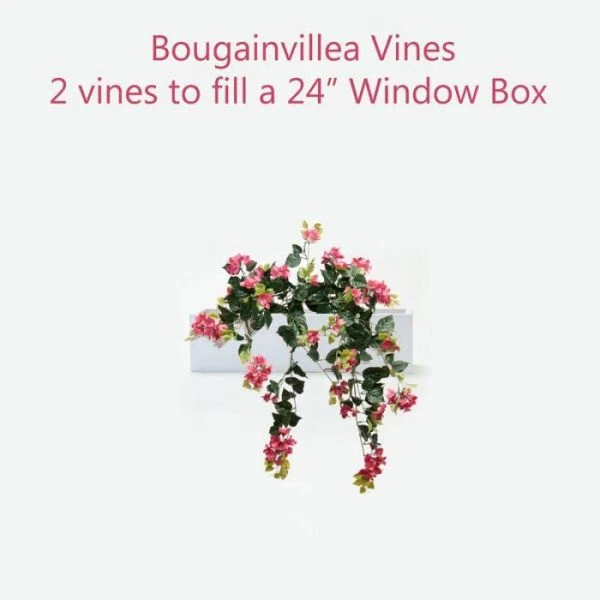Laguna Direct Mount Window Box