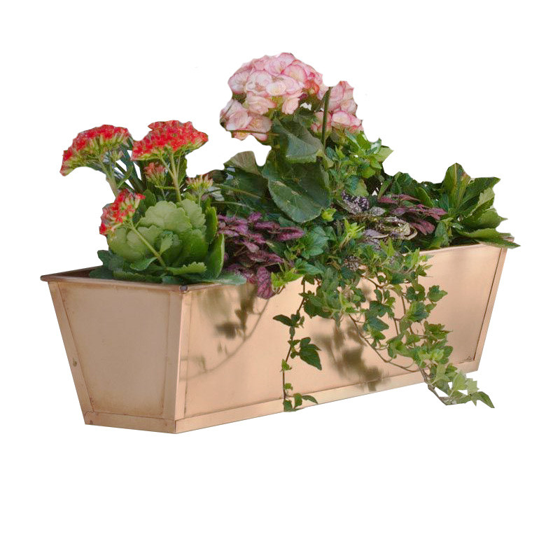 Liners - Windowbox.com
