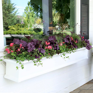 Windowboxes - Page 1 - Windowbox.com