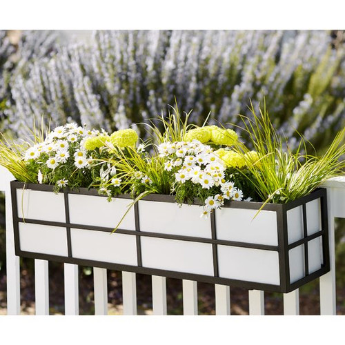 Simple Elegance Window Box
