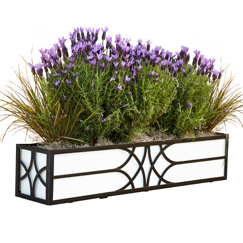European Window Box