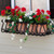 European Window Box