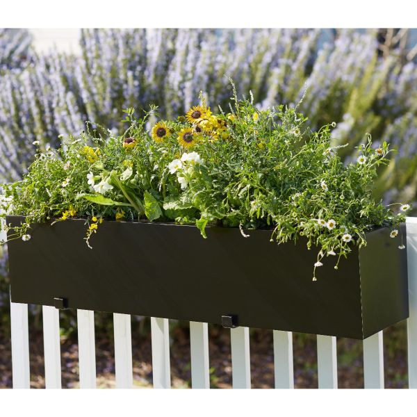 Black Laguna Window Box