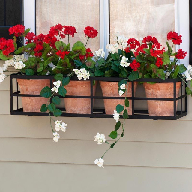 Modern Window Box
