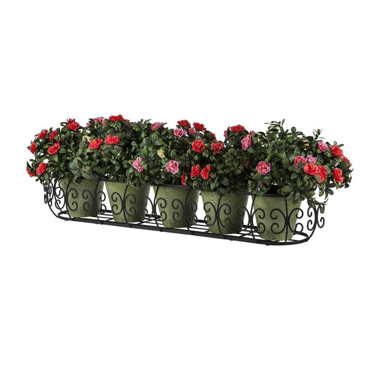 Parisian Window Box