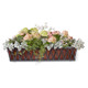 Arch Tapered Window Box - Iron Cage | Windowbox.com