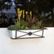 Medallion Window Box
