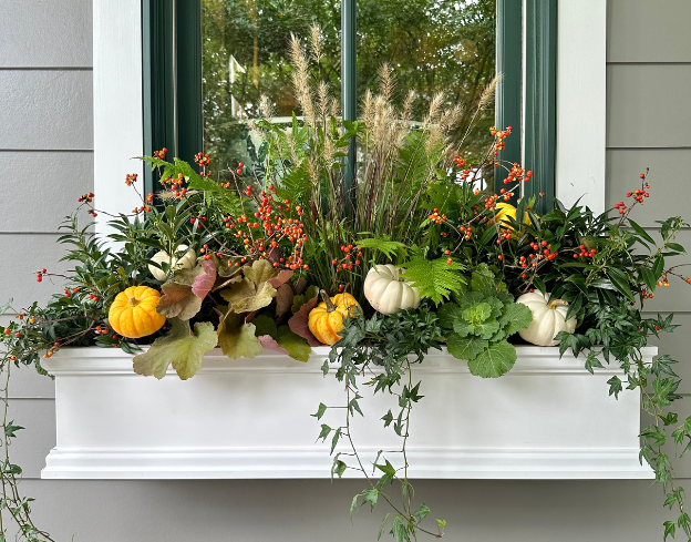 Bringing Autumn's Palette Home: Native Fall Window Boxes & Planters ...