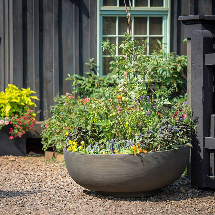 Spring Into Color: Filling Your Container Garden for Mid-May Magic ...