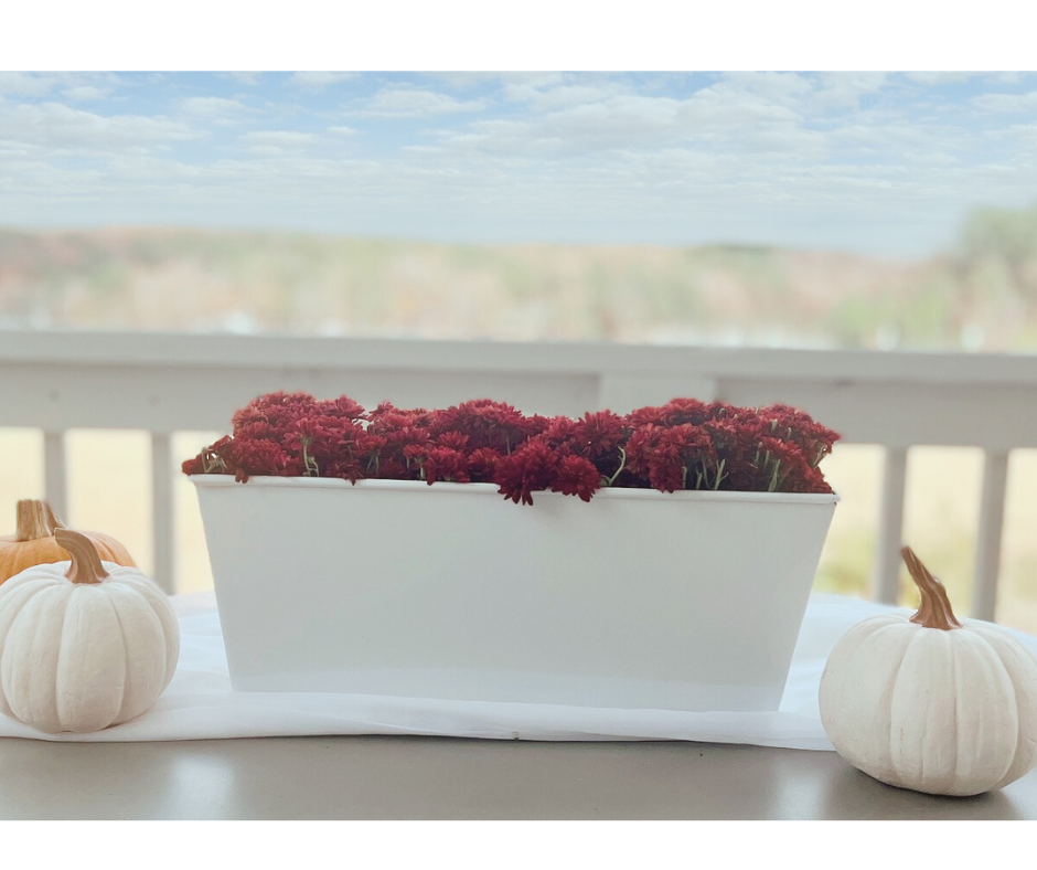 How to Use Window Boxes as Thanksgiving Table Décor - Windowbox.com