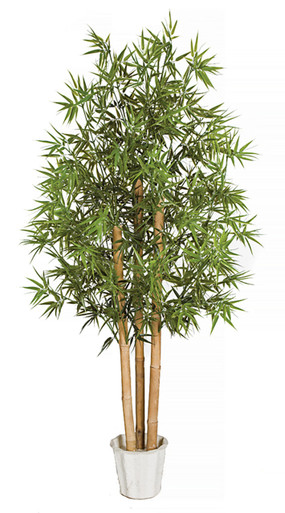 6 Foot Bamboo Outdoor Rated Tree