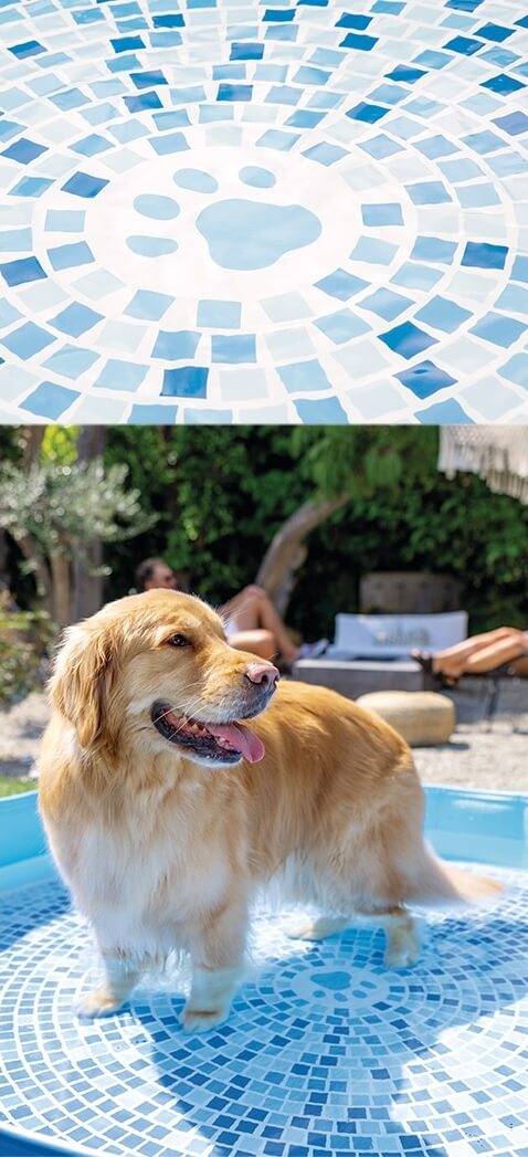 Products - Pets - Pet Pools - Intex Recreation Corp.