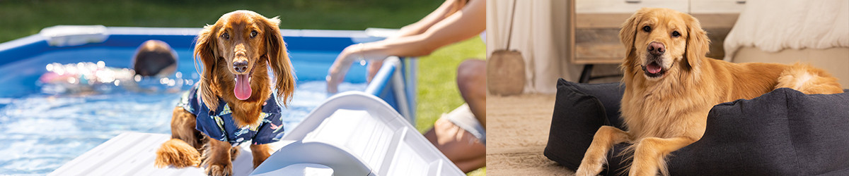 Products - Pets - Pet Pools - Intex Recreation Corp.