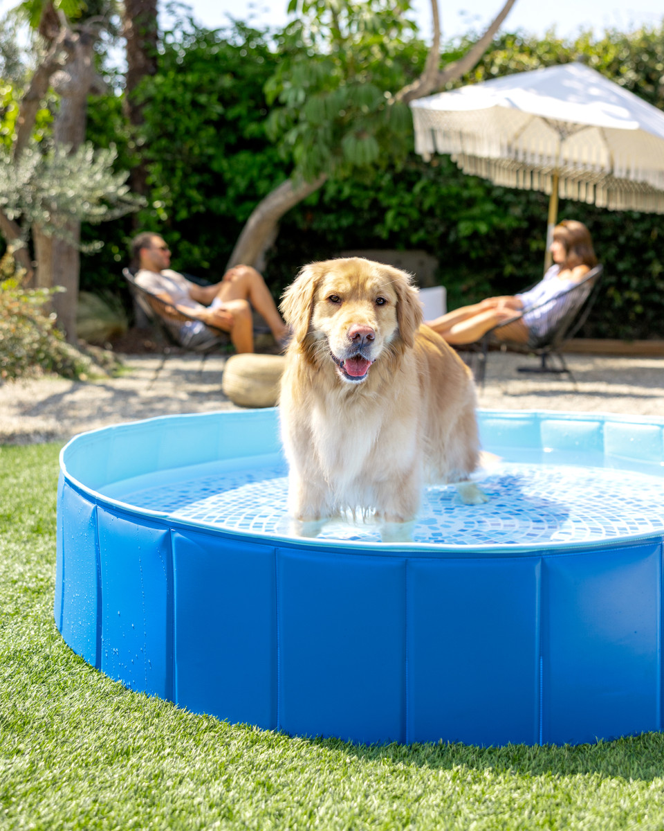 INTEX: The leader in Above Ground Swimming Pools, Air Mattresses and ...