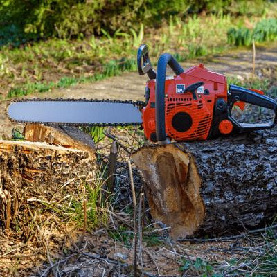 Chain Saw SOP | SafetyDocs PDF & Word Templates