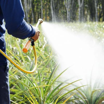 Weed Control SWMS | SafetyDocs PDF & Word Templates