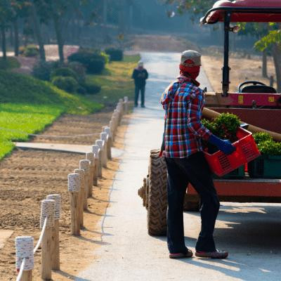 Landscape Planting SWMS | SafetyDocs PDF & Word Templates