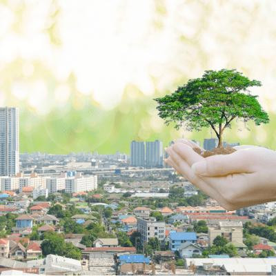 Environmental Construction Management System | SafetyDocs PDF & Word ...