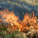 Fire Services SWMS | Safe Work Method Statement | SafetyDocs