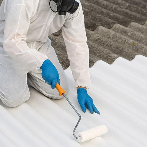 Asbestos SWMS Templates | Instant Download | SafetyDocs