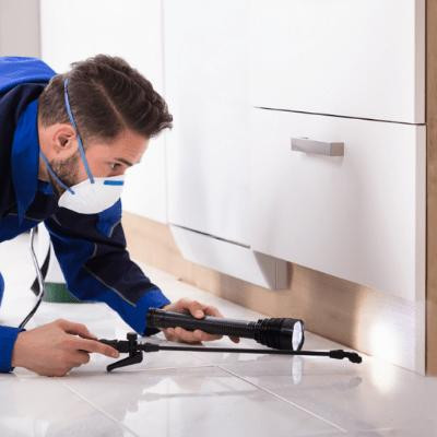 Pest Control SWMS | Safe Work Method Statement | SafetyDocs