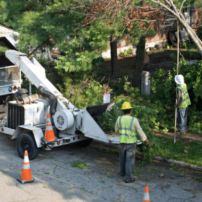 Wood Chipper SWMS | SafetyDocs PDF & Word Templates