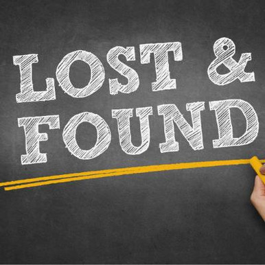 Lost/Found Persons Form | SafetyDocs PDF & Word Templates